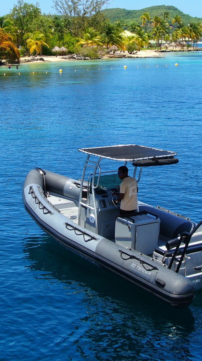 3D Tender French brand, specialist in inflatable boats, RIBs, polyester ...